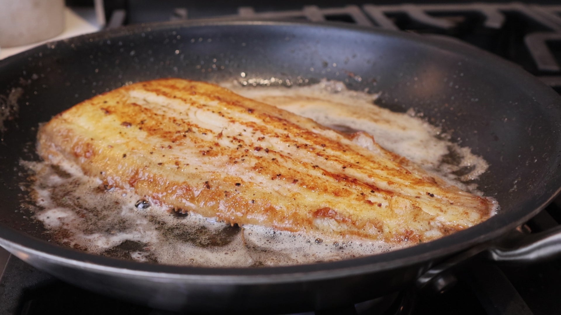 Sole (farmed) | Waterfront Seafood Direct